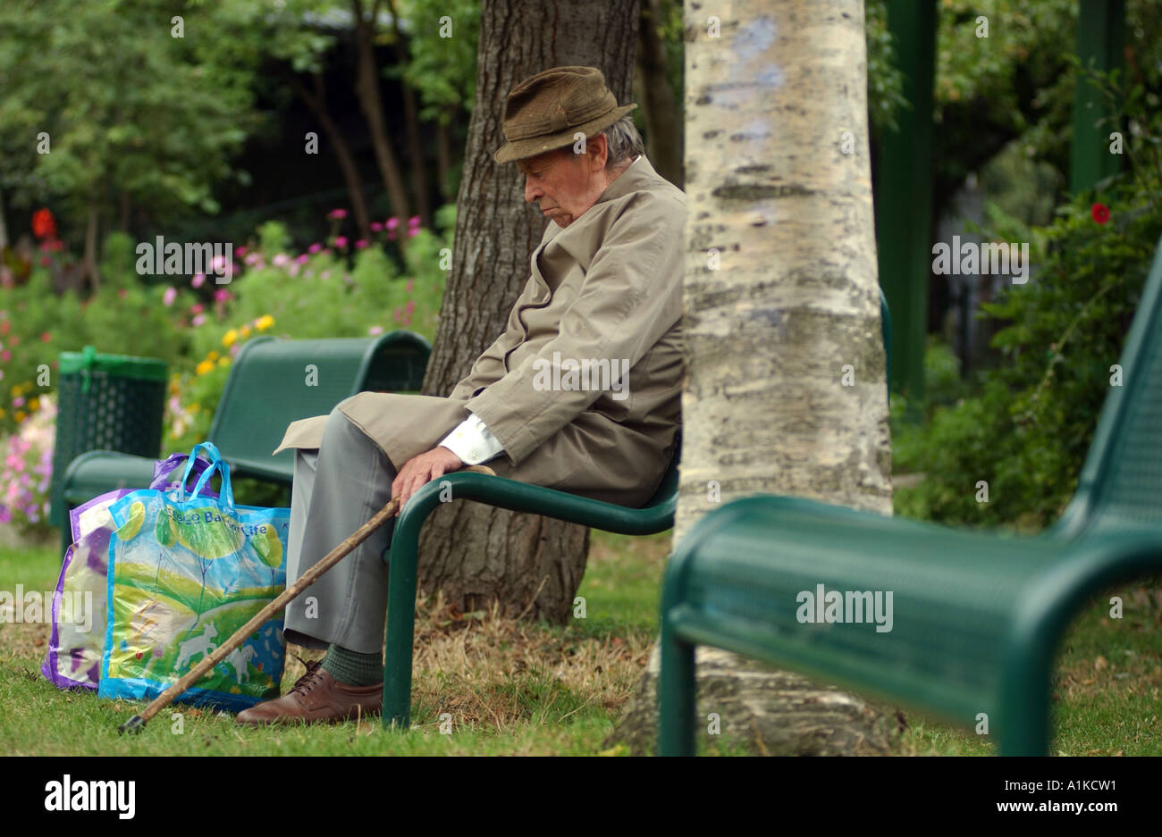 Dozing Off Stock Photos & Dozing Off Stock Images - Alamy