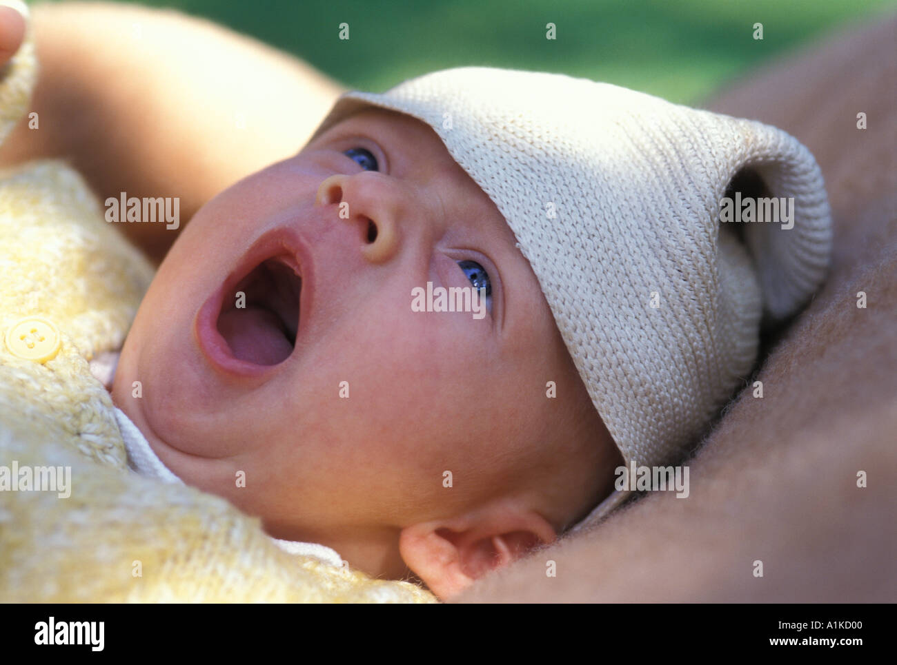 Eight week old boy hi-res stock photography and images - Alamy
