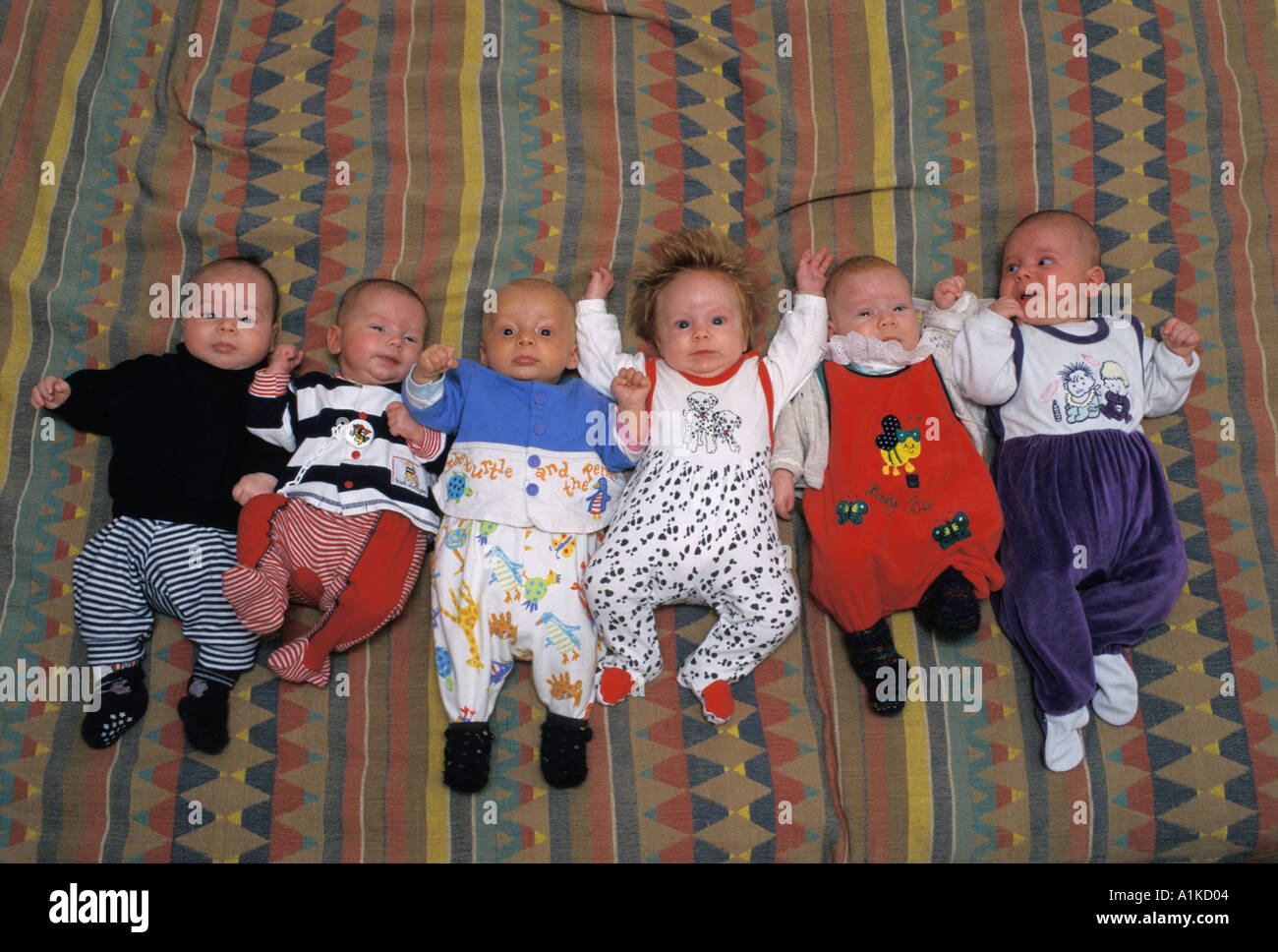 Six two to three month old babies in a row MR Stock Photo - Alamy