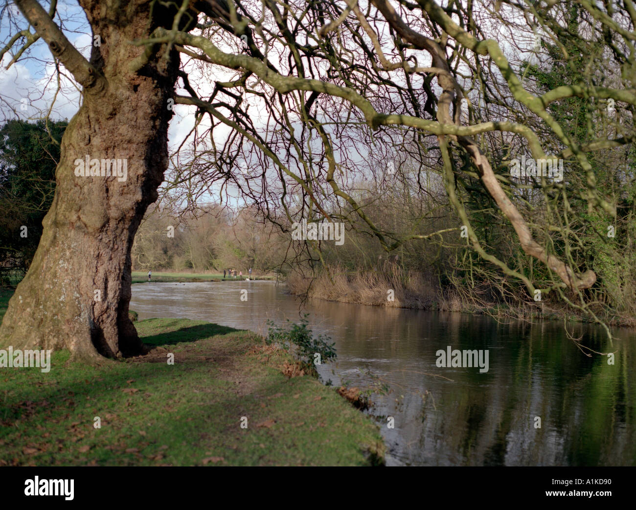 Winchester water meadows and st cross hi-res stock photography and ...