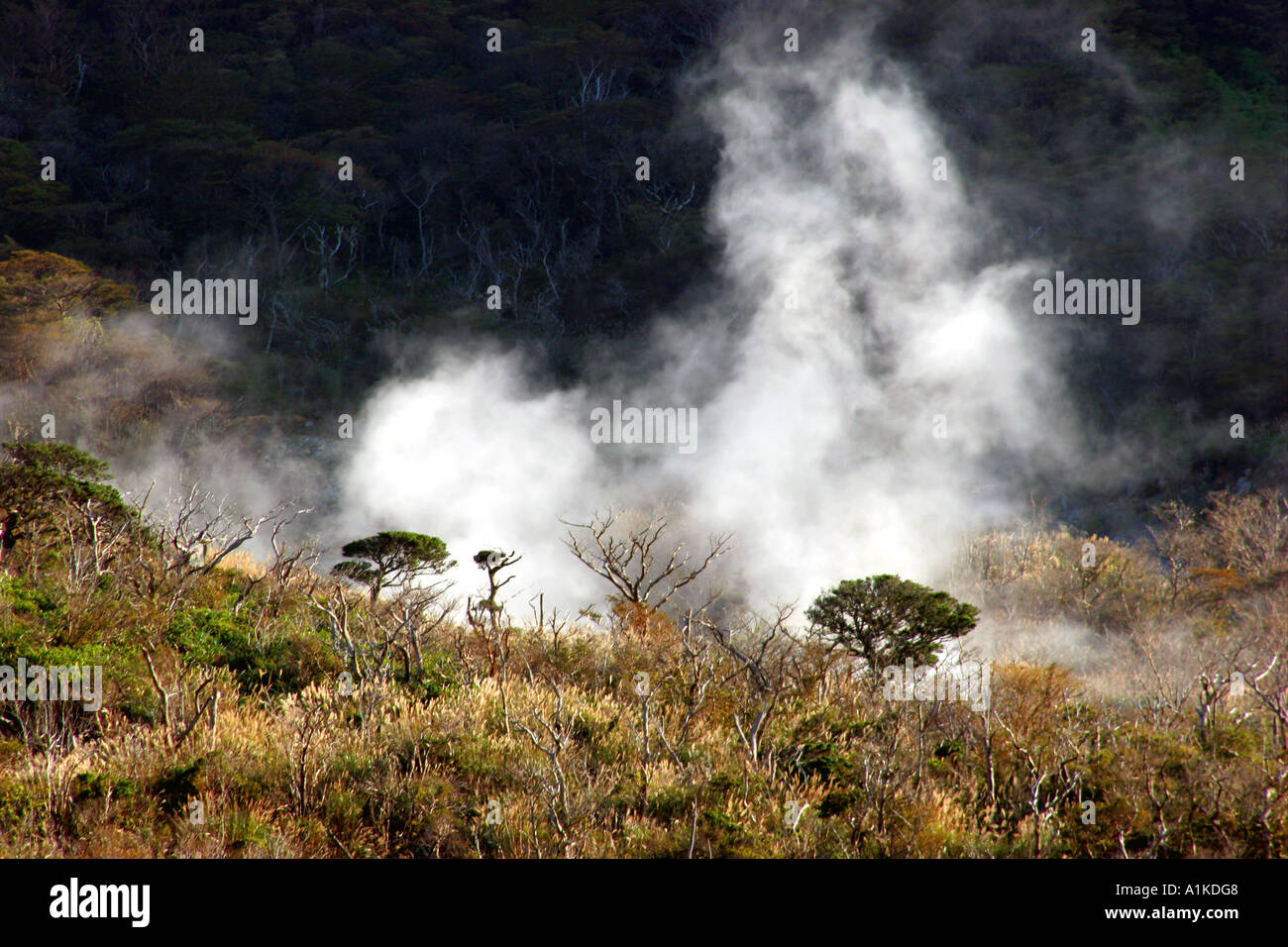 owakudani sulphur hot springs, hakone, japan Stock Photo - Alamy