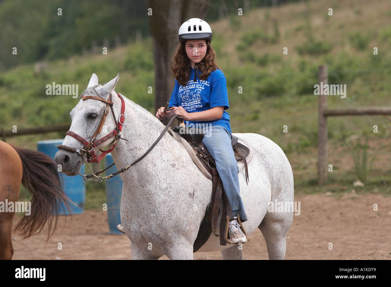 Horseback Riding Lessons High Resolution Stock Photography and Images ...