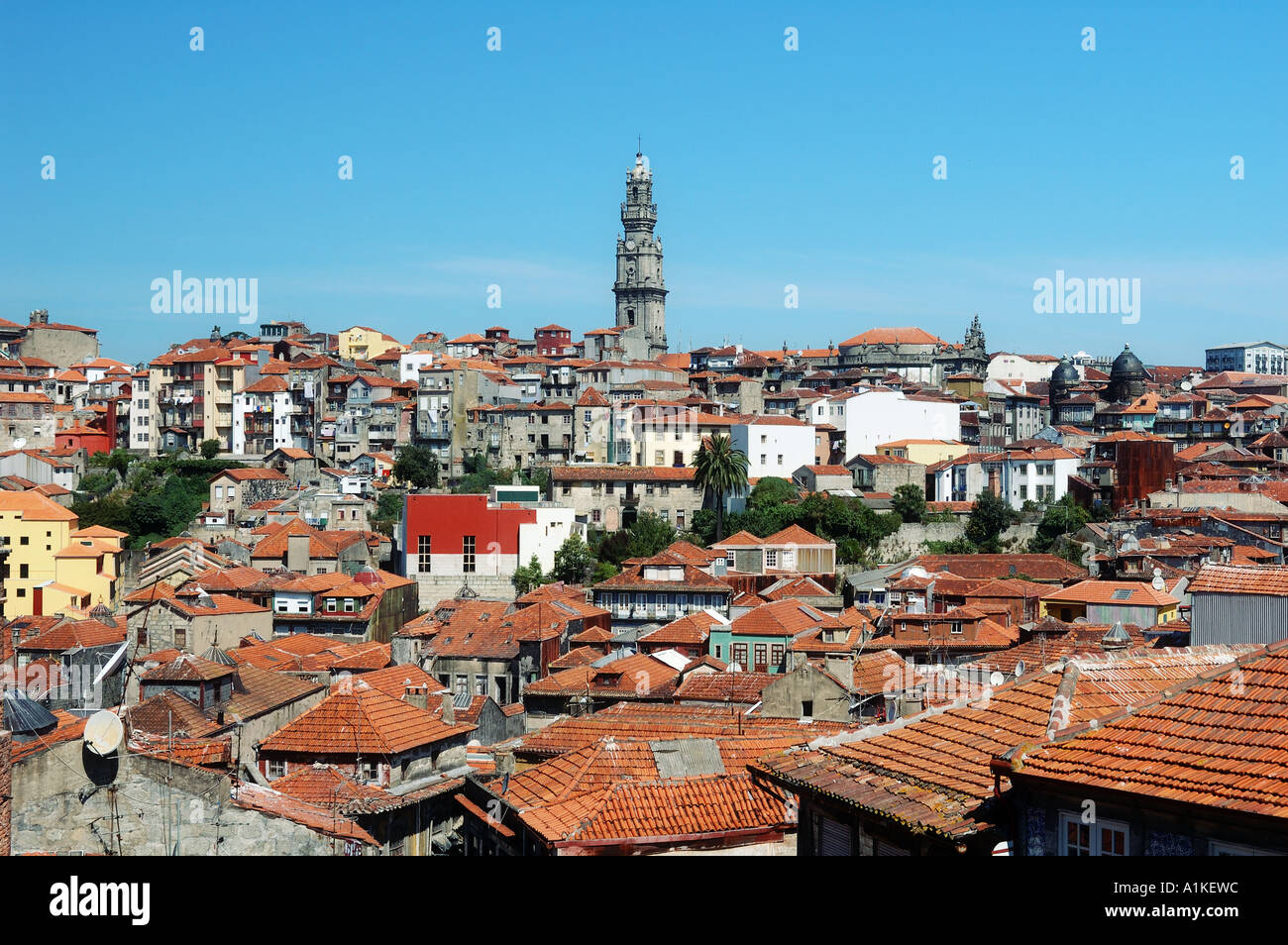 View of Porto historical city with the Torre dos Clérigo in the ...