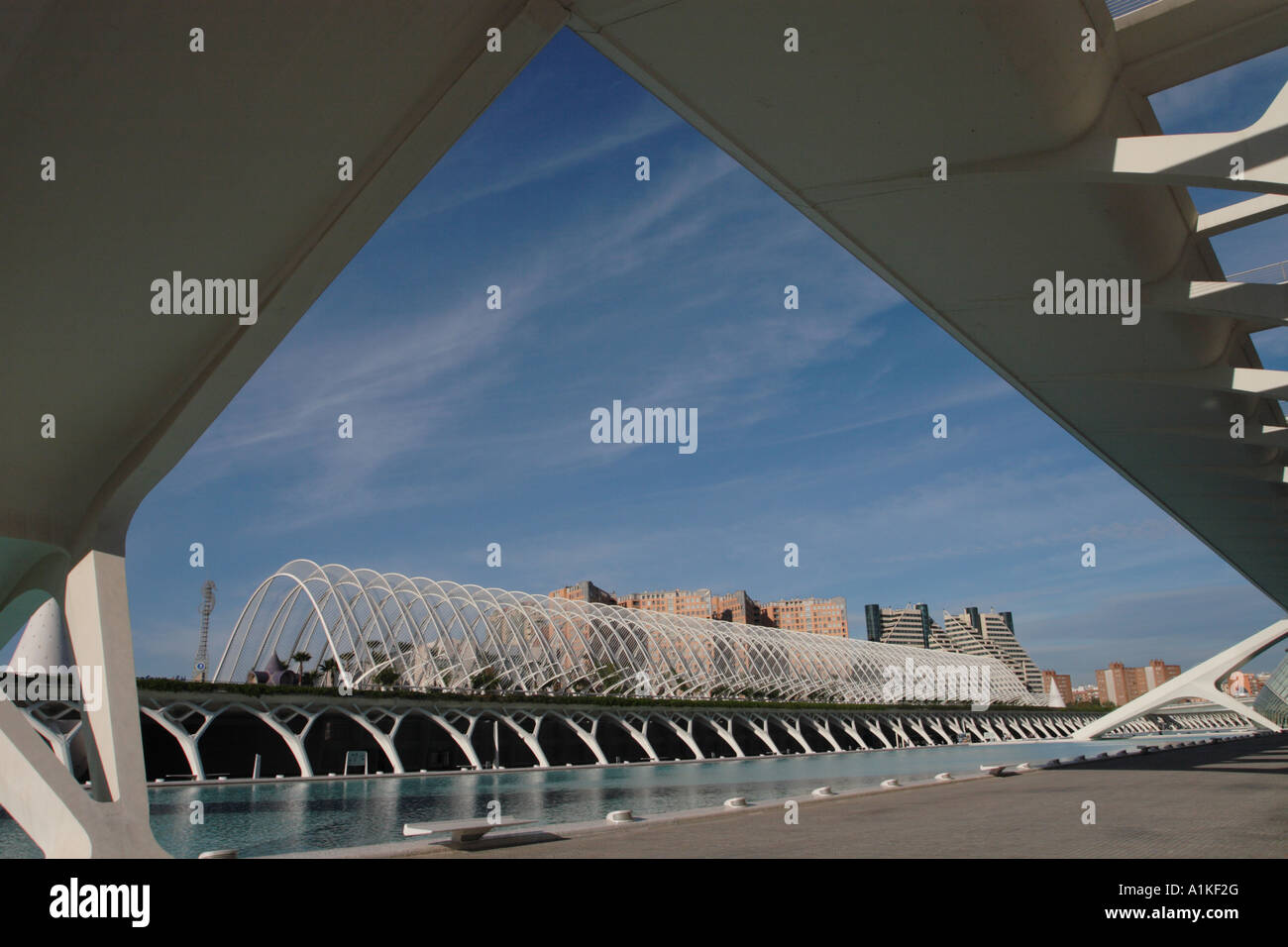 Valencia Spain the City of Arts and Sciences complex includes the ...