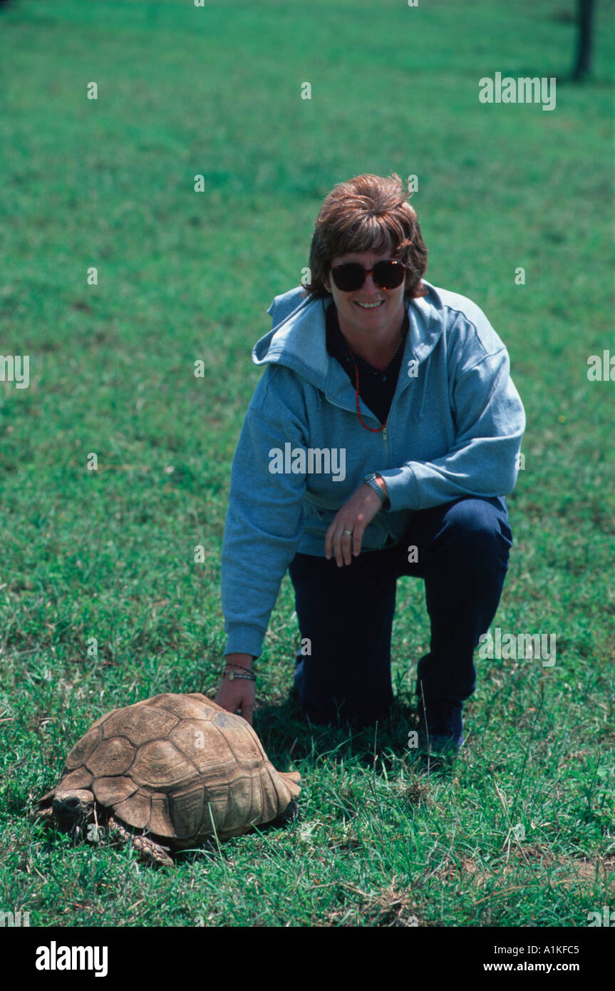 Tortoise shell sunglasses hi-res stock photography and images - Alamy