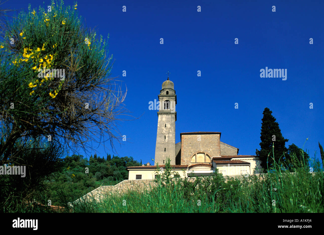 Petrarca padova hi-res stock photography and images - Alamy