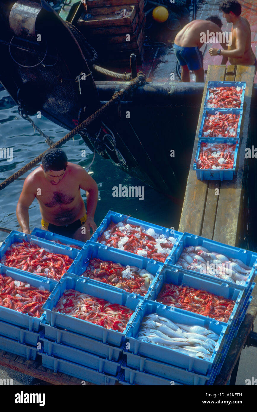 Unloading fish boxes from fishing hi-res stock photography and images ...