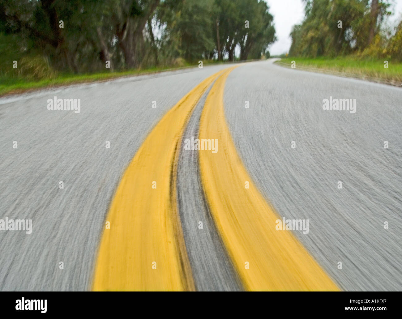 winding road with yellow lines in central Florida Stock Photo - Alamy