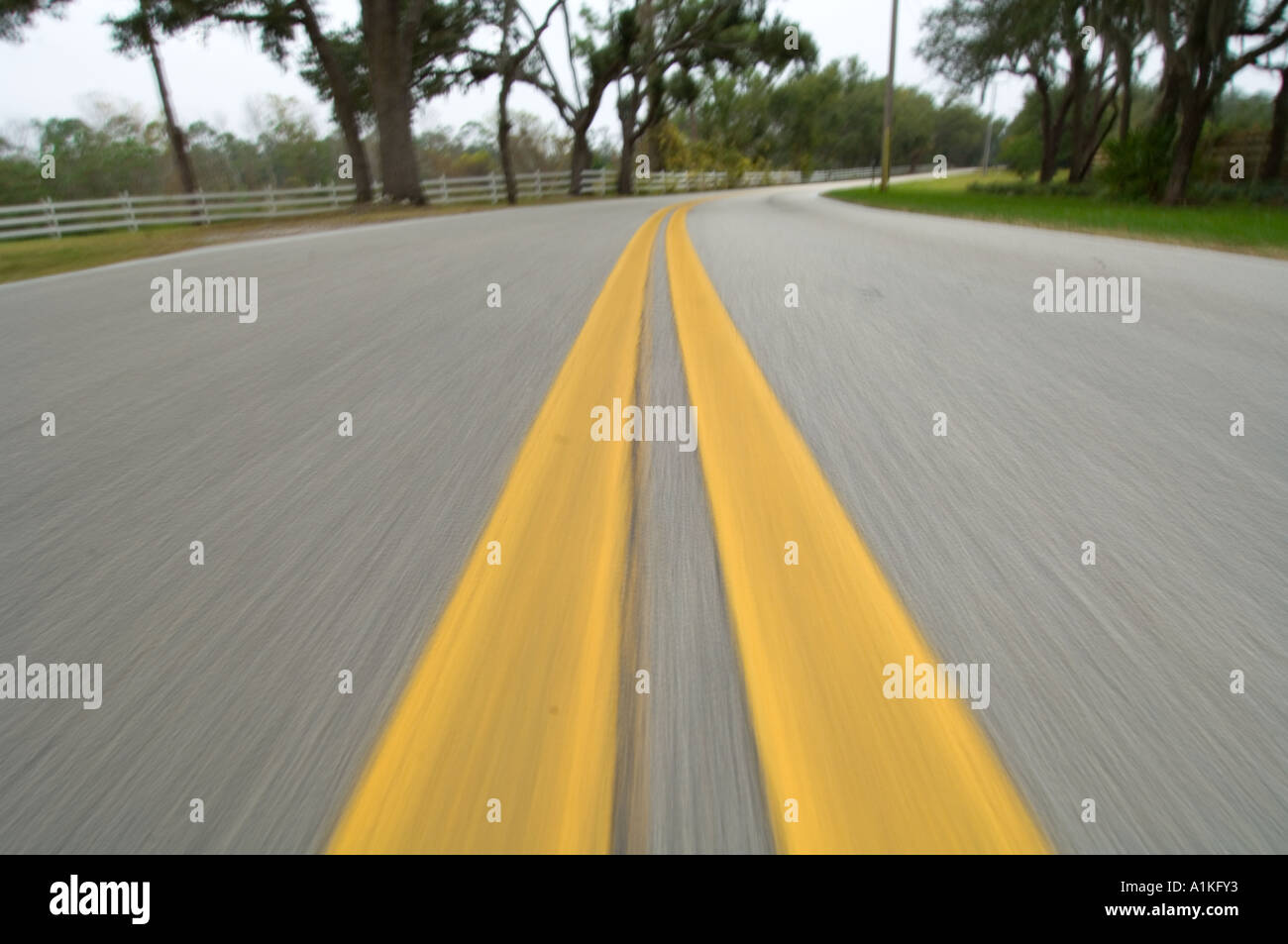 winding road with yellow lines in central Florida Stock Photo - Alamy