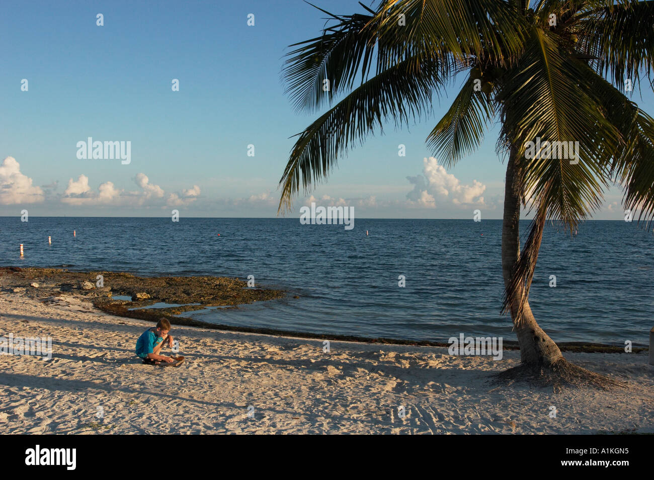 A palm tree with curving beach and ocean with boy Stock Photo - Alamy