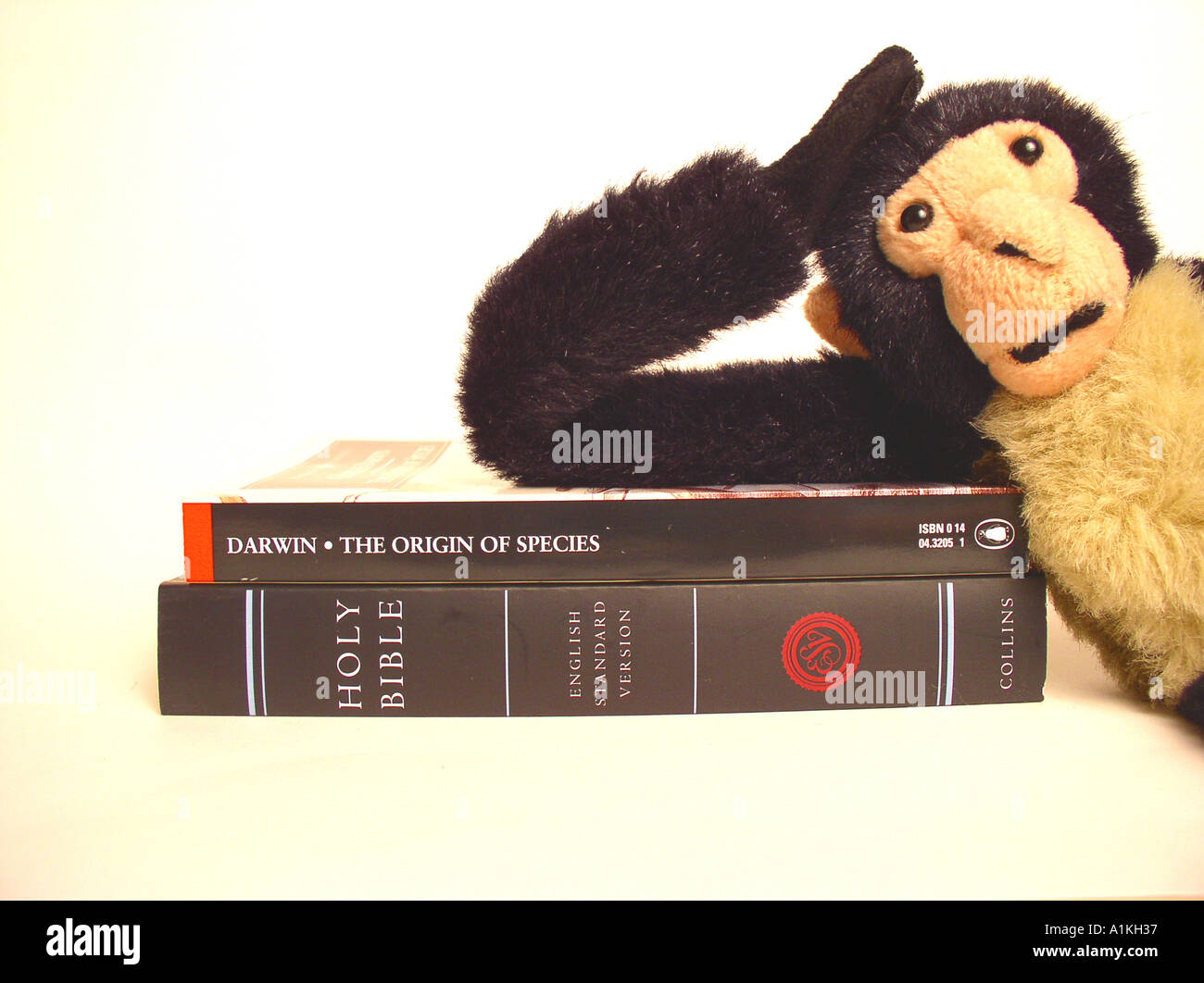 Toy monkey reclining on the Bible and Charles Darwin The Origin of the ...