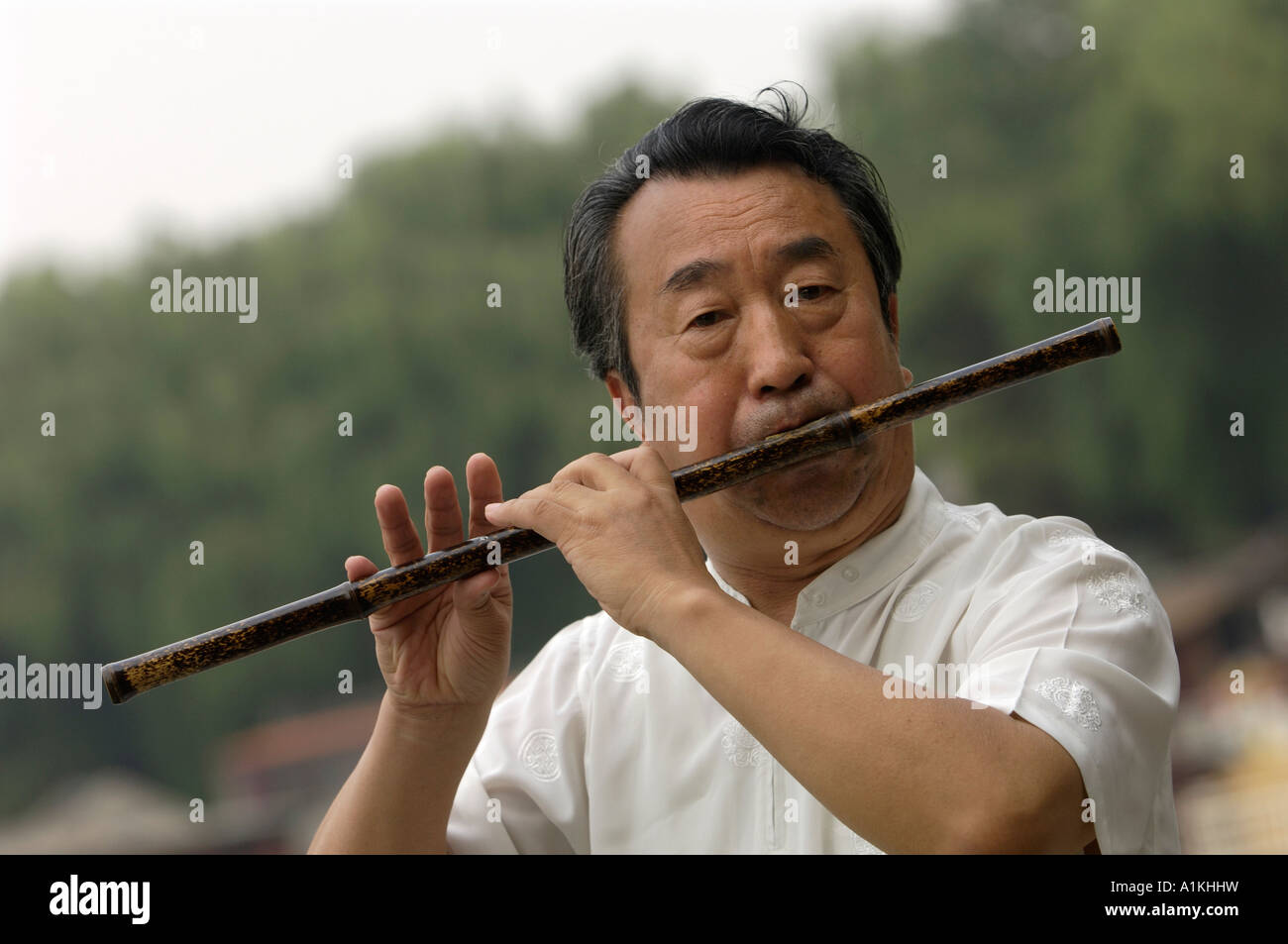 Beijing residents play Chinese folk musical instrument 2006 Stock Photo ...