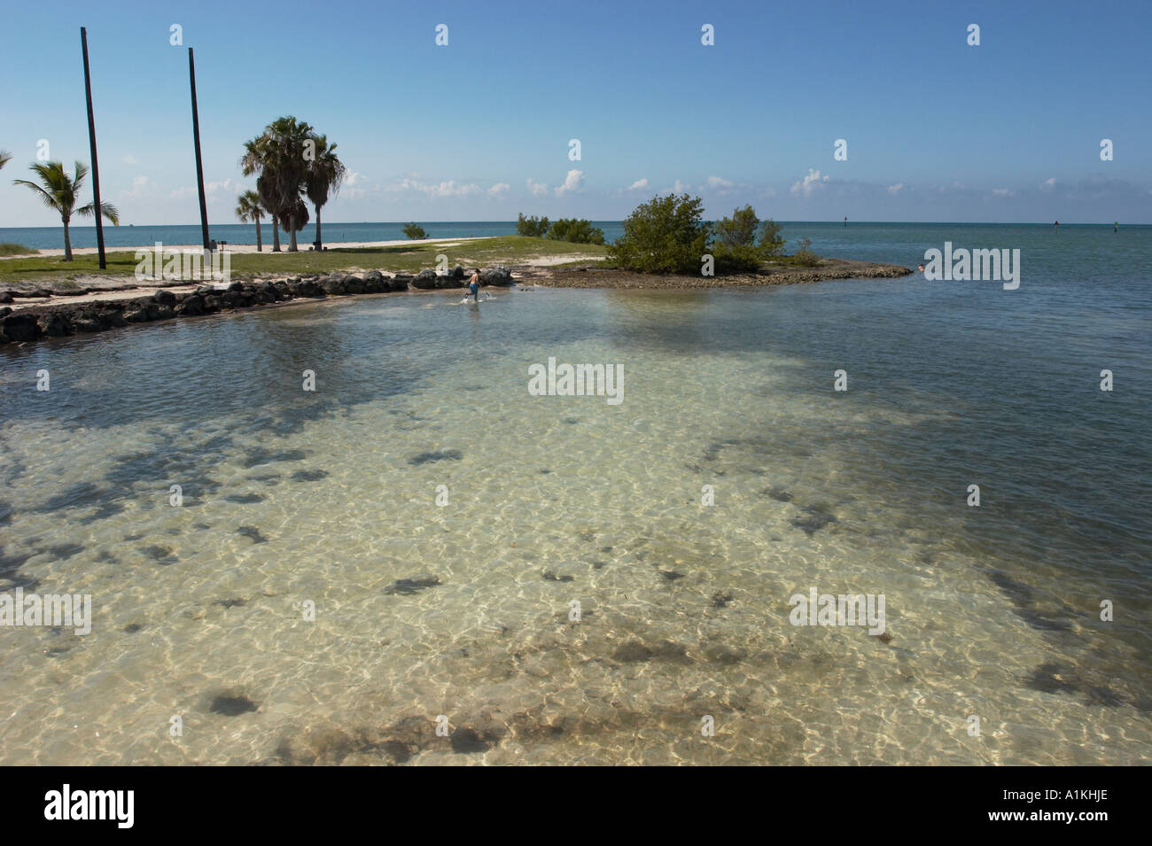 Palm trees with ocean in the Florida Keys Stock Photo - Alamy