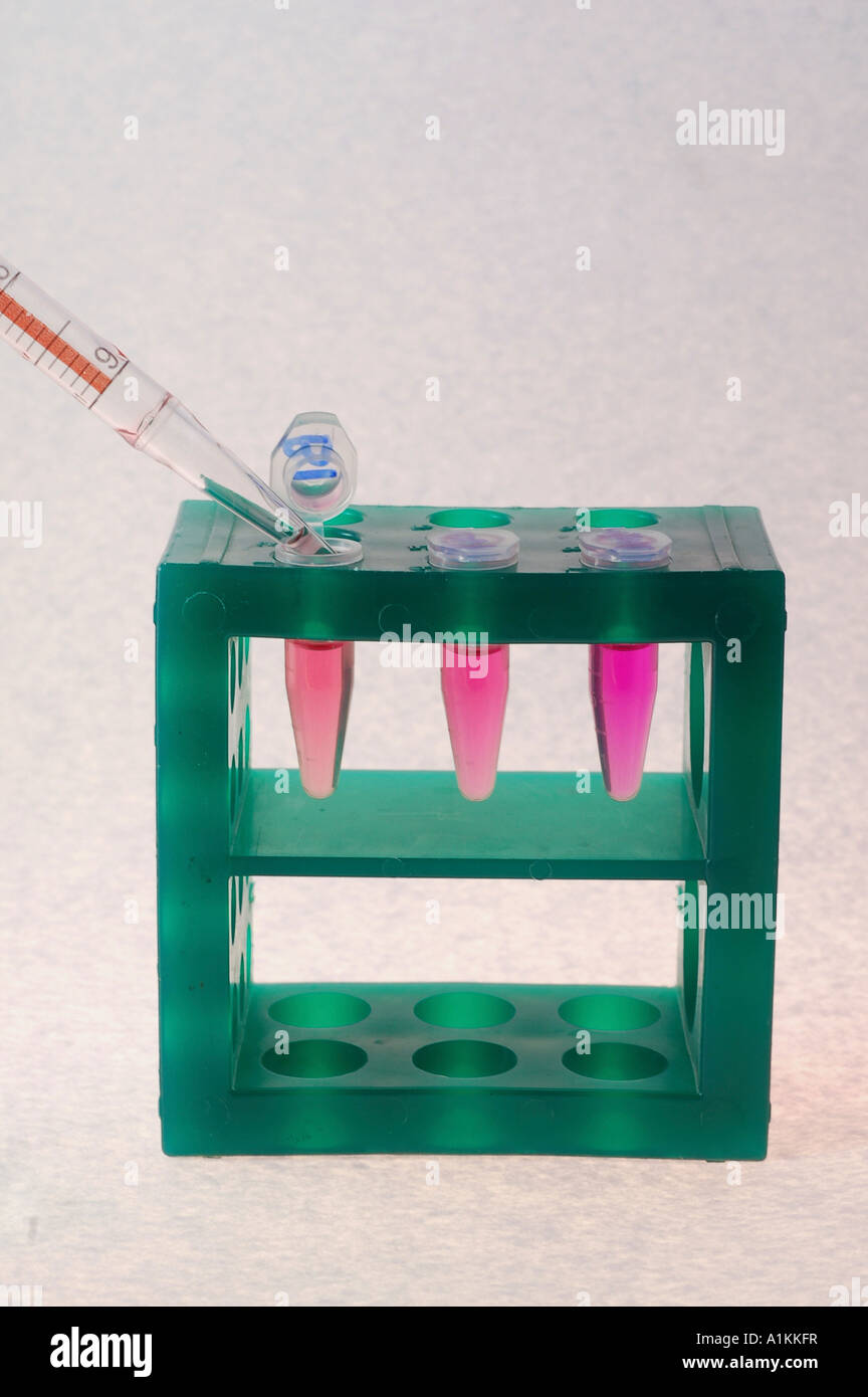 Adding chemicals to three test tubes in a tube rack Stock Photo - Alamy