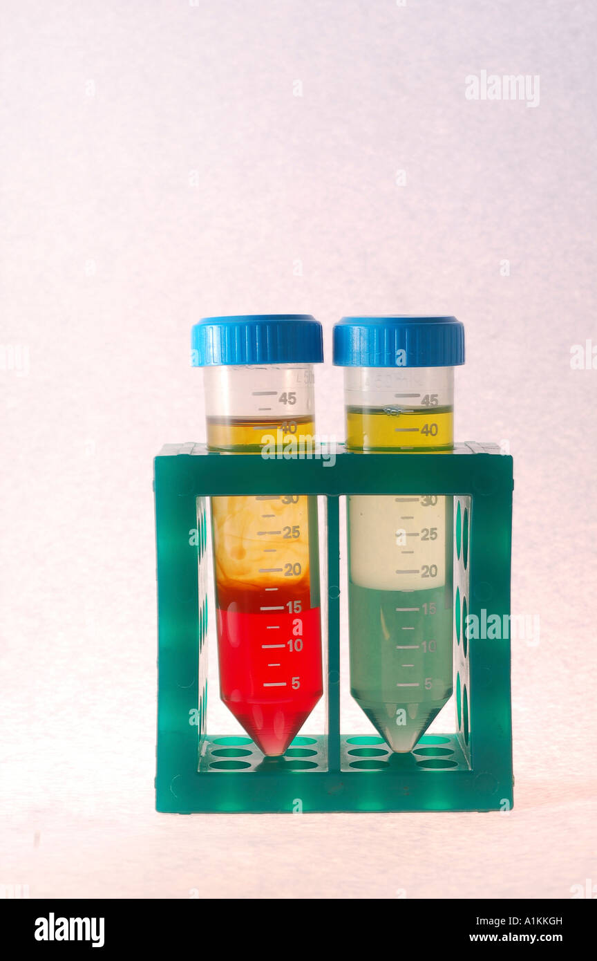 phase separation in test tubes Stock Photo - Alamy