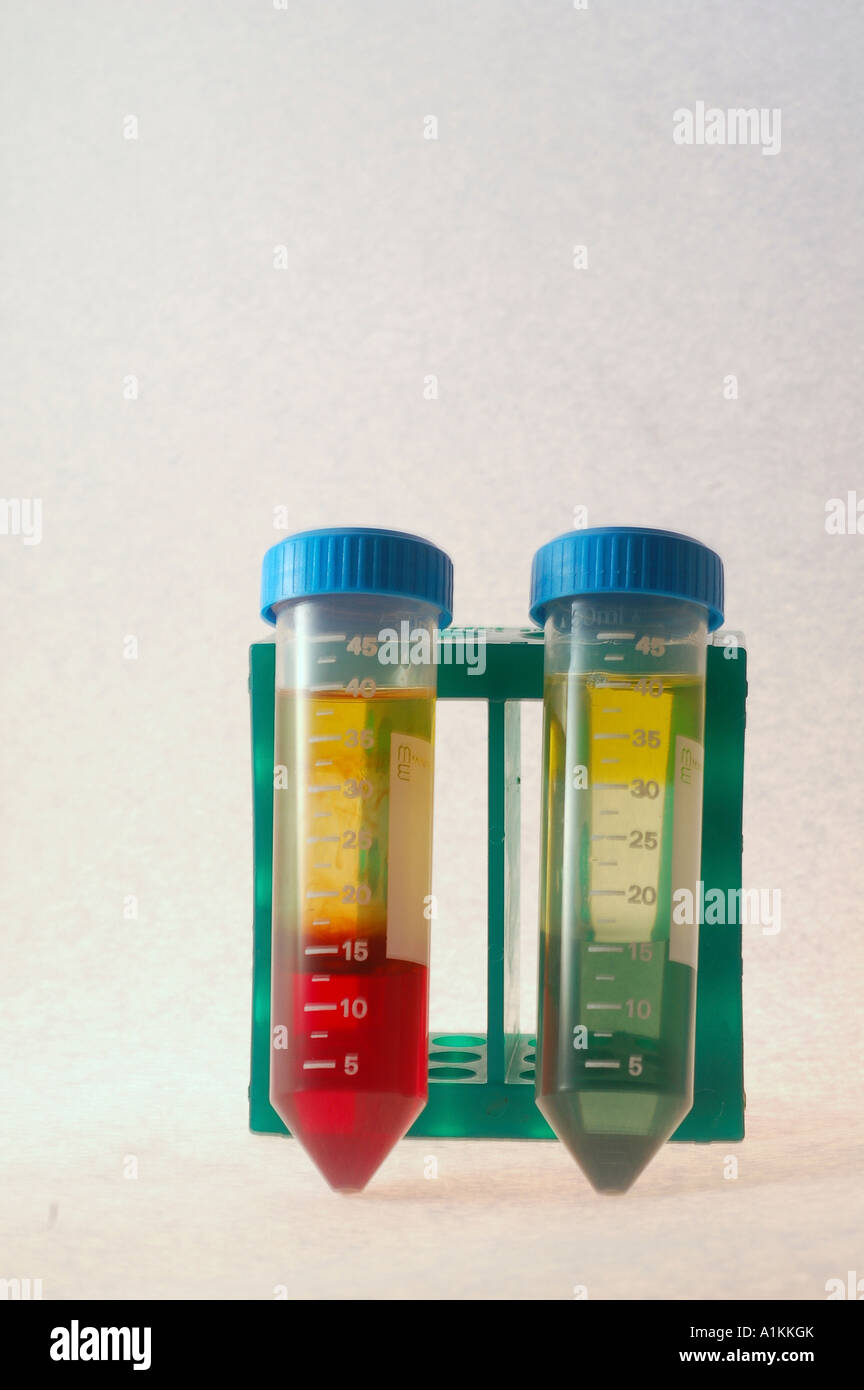 phase separation in test tubes Stock Photo - Alamy