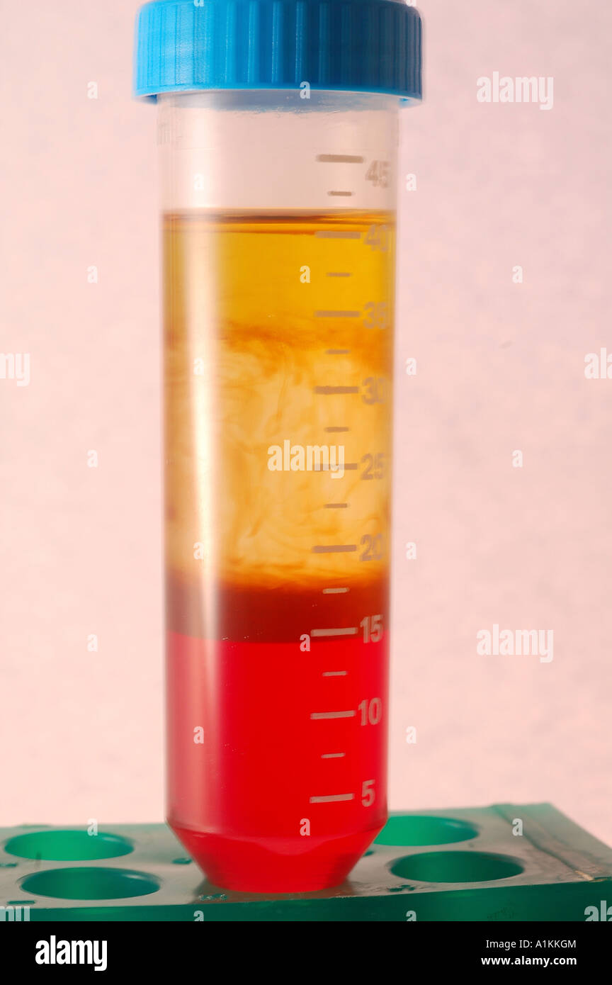 phase separation in test tubes Stock Photo - Alamy