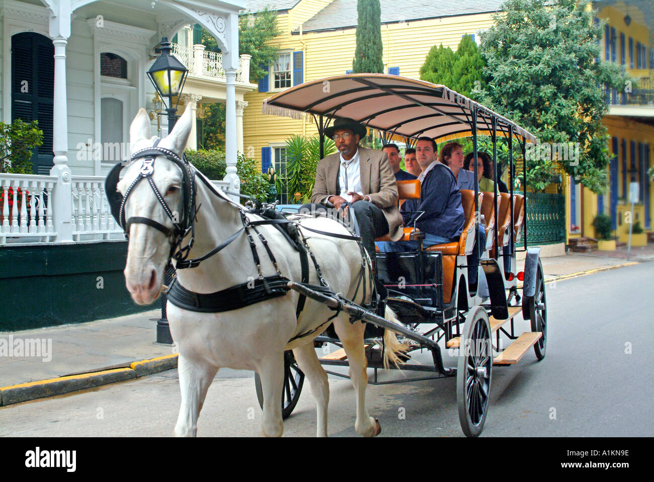 Mule drawn carriage in hi-res stock photography and images - Alamy