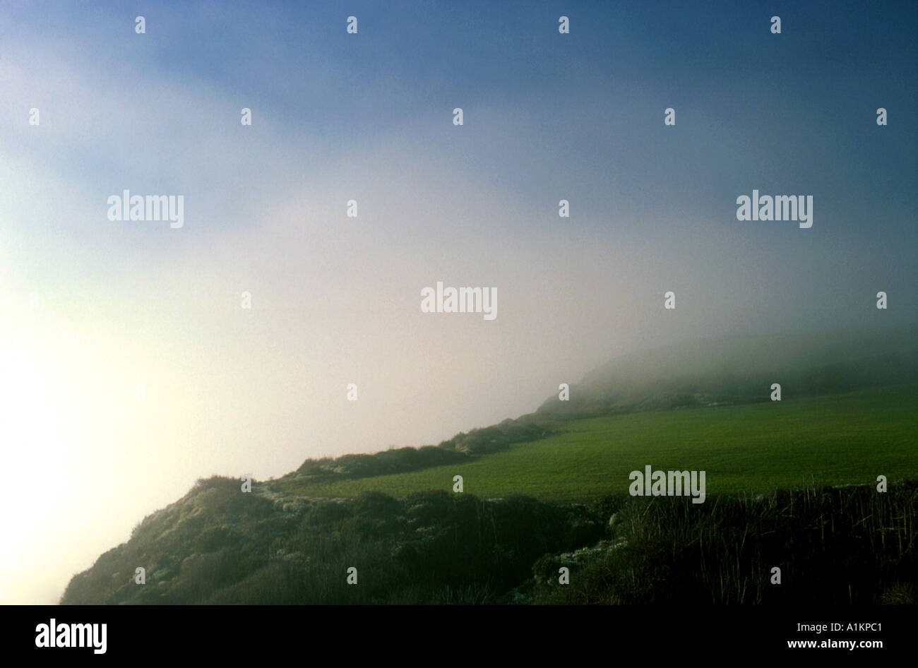 Ground level fog hi-res stock photography and images - Alamy