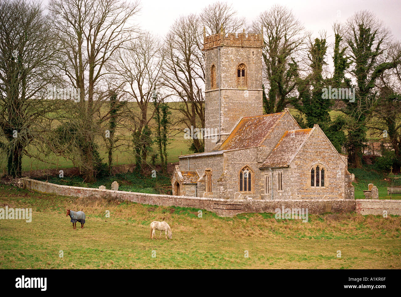 Cheselborne hi-res stock photography and images - Alamy