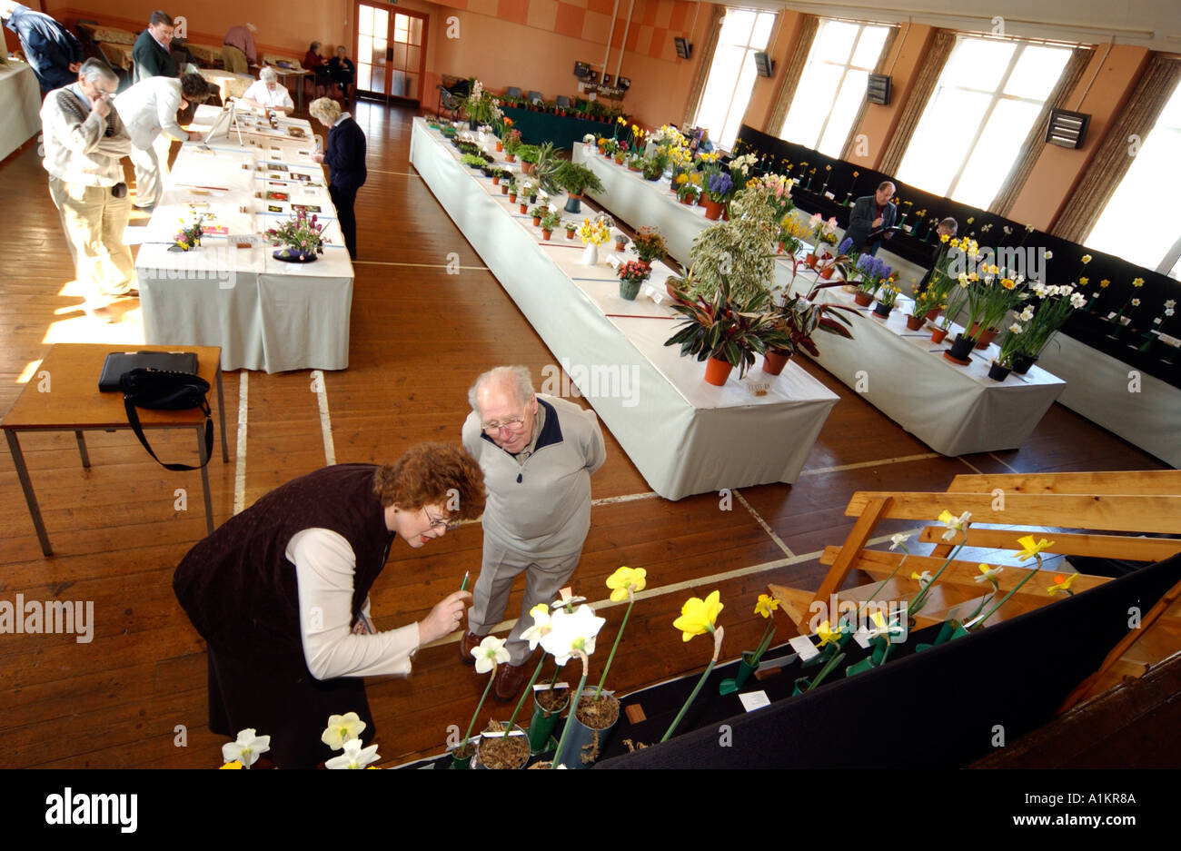 Show fair horticulture britain hi-res stock photography and images - Alamy