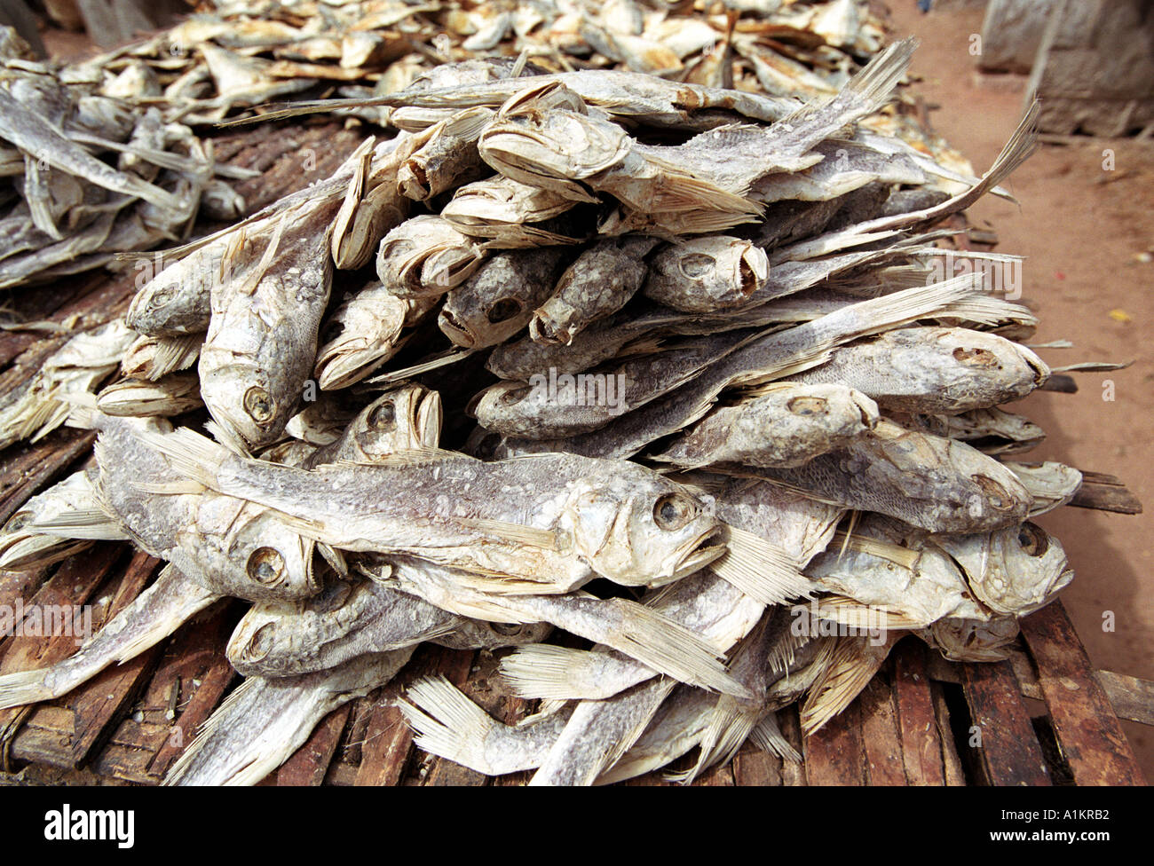 Fish being dried in Tanji The Gambia West Africa Stock Photo - Alamy
