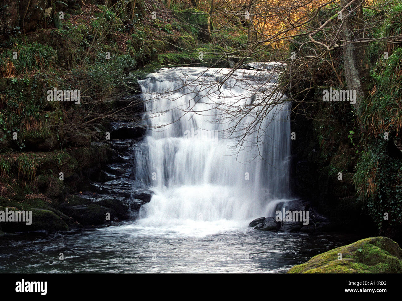 Watersmeet waterfall in Devon Britain UK Stock Photo: 3357649 - Alamy