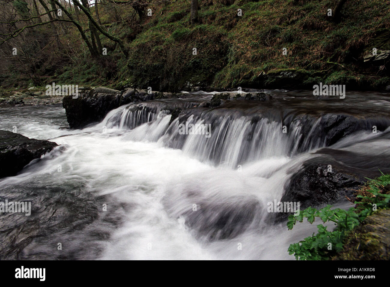 River Lyn in North Devon Britain UK Stock Photo - Alamy