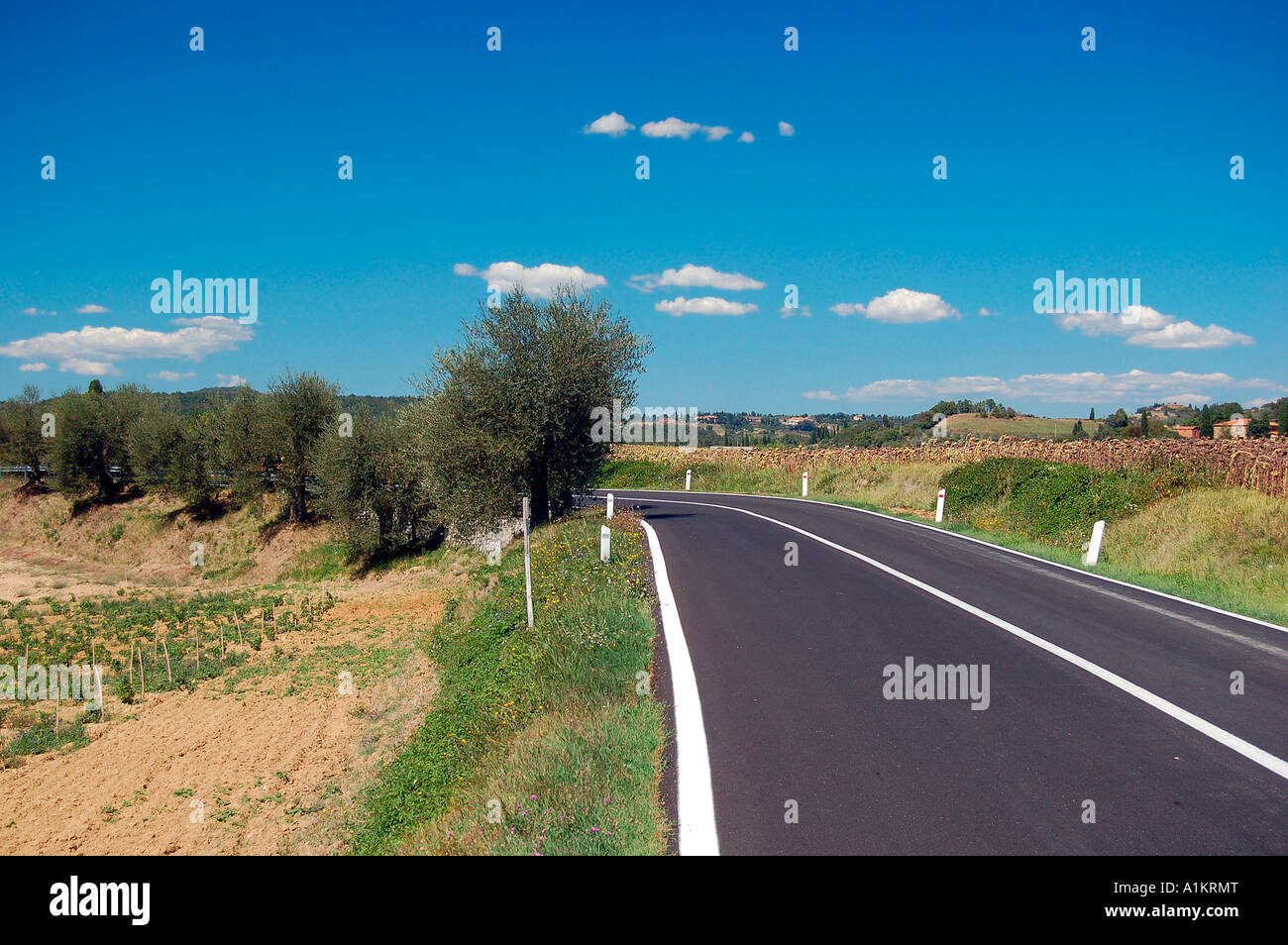 Italy Tuscany country road in the landscape Stock Photo - Alamy