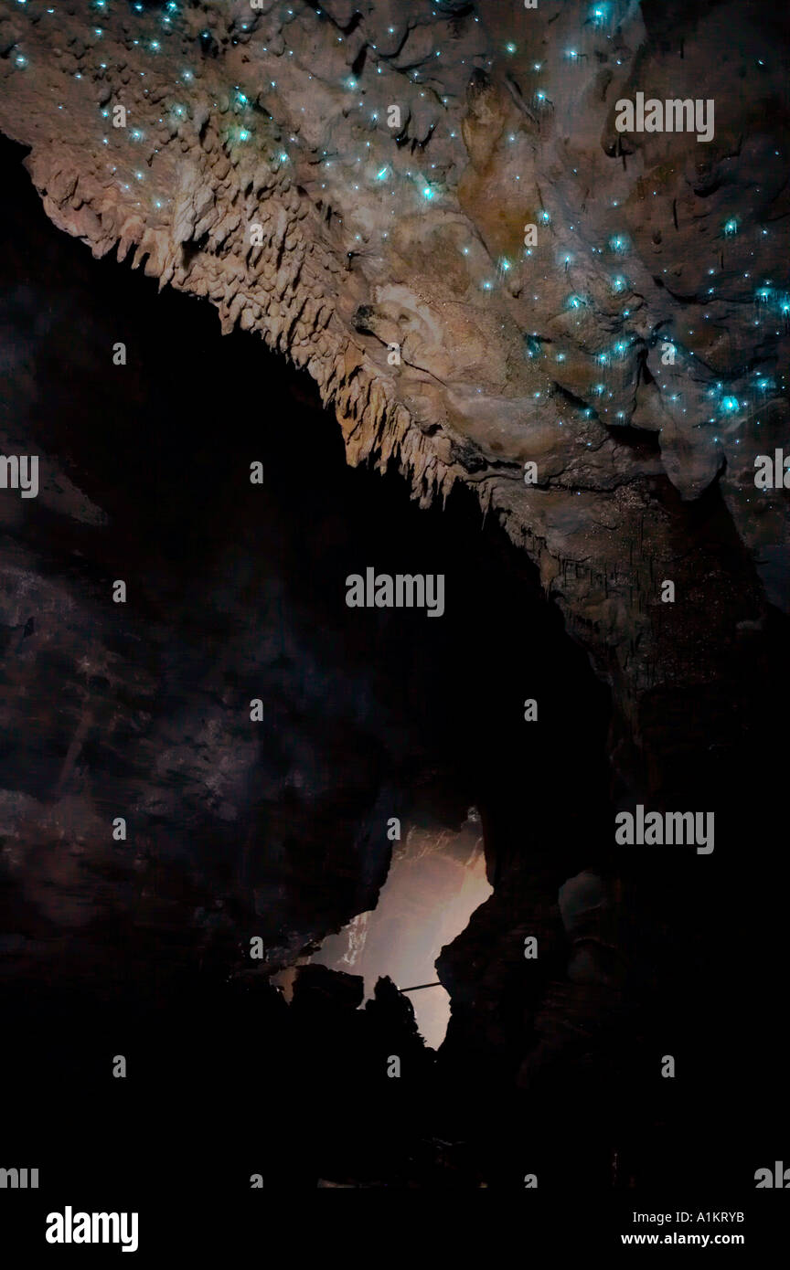 Glow worms in Waitomo Caves New Zealand 100 metre abseil rappel into ...