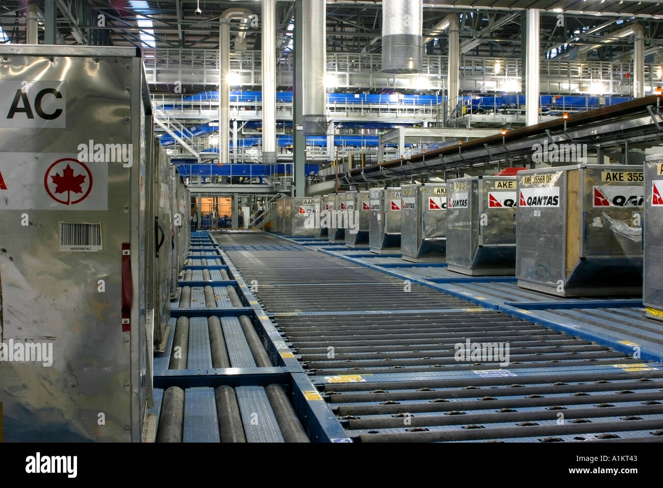 ULD container in air cargo facility Industry bag box convey conveyor ...