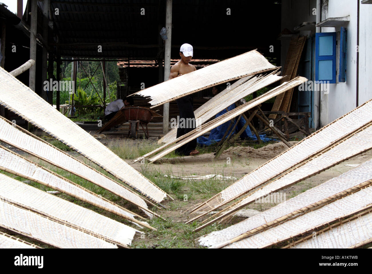 Vietnamese worker places rice paper drying racks out to dry, Saigon ...