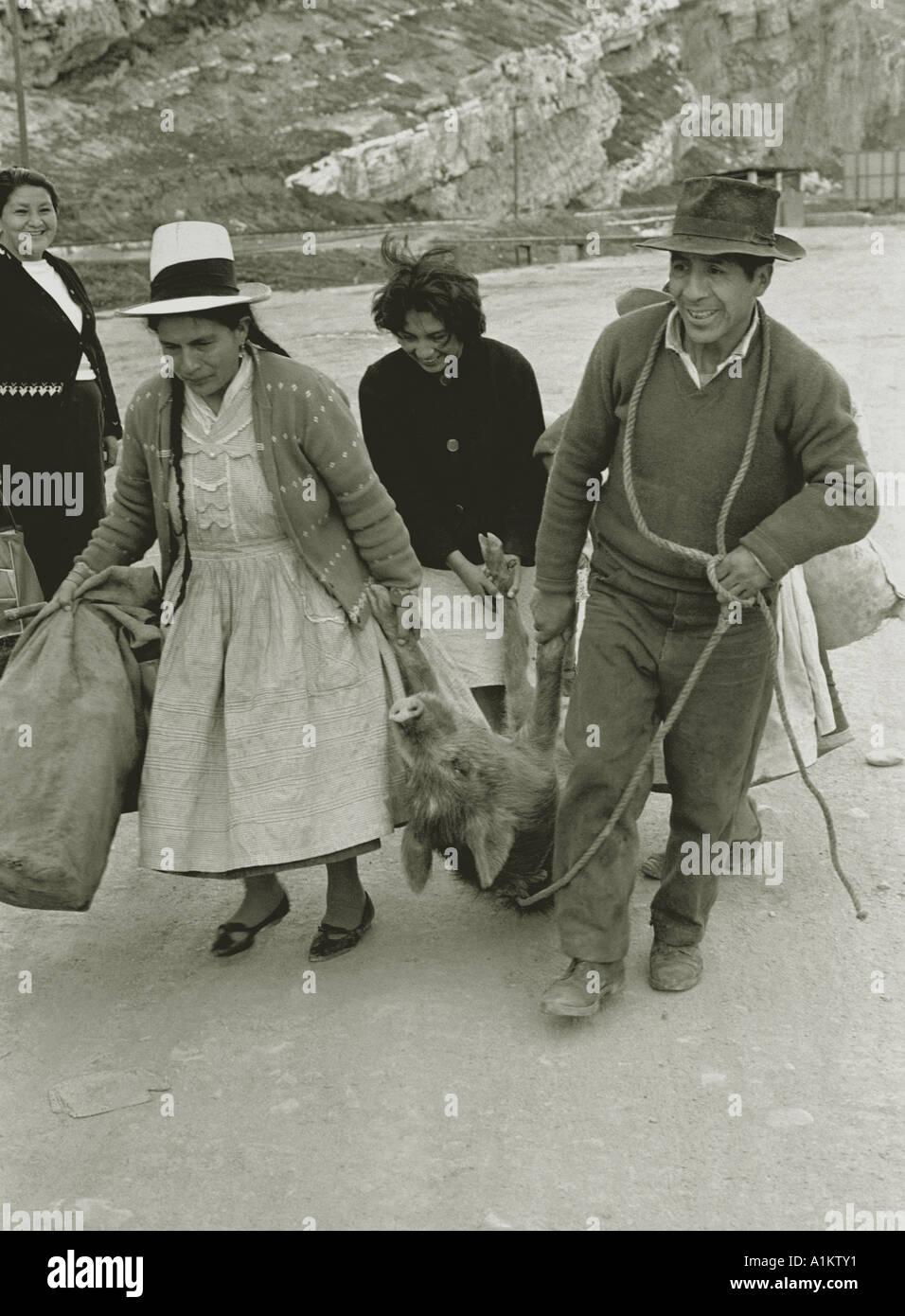 Taking a Pig to the local market in the andean mining town of La Oroya ...