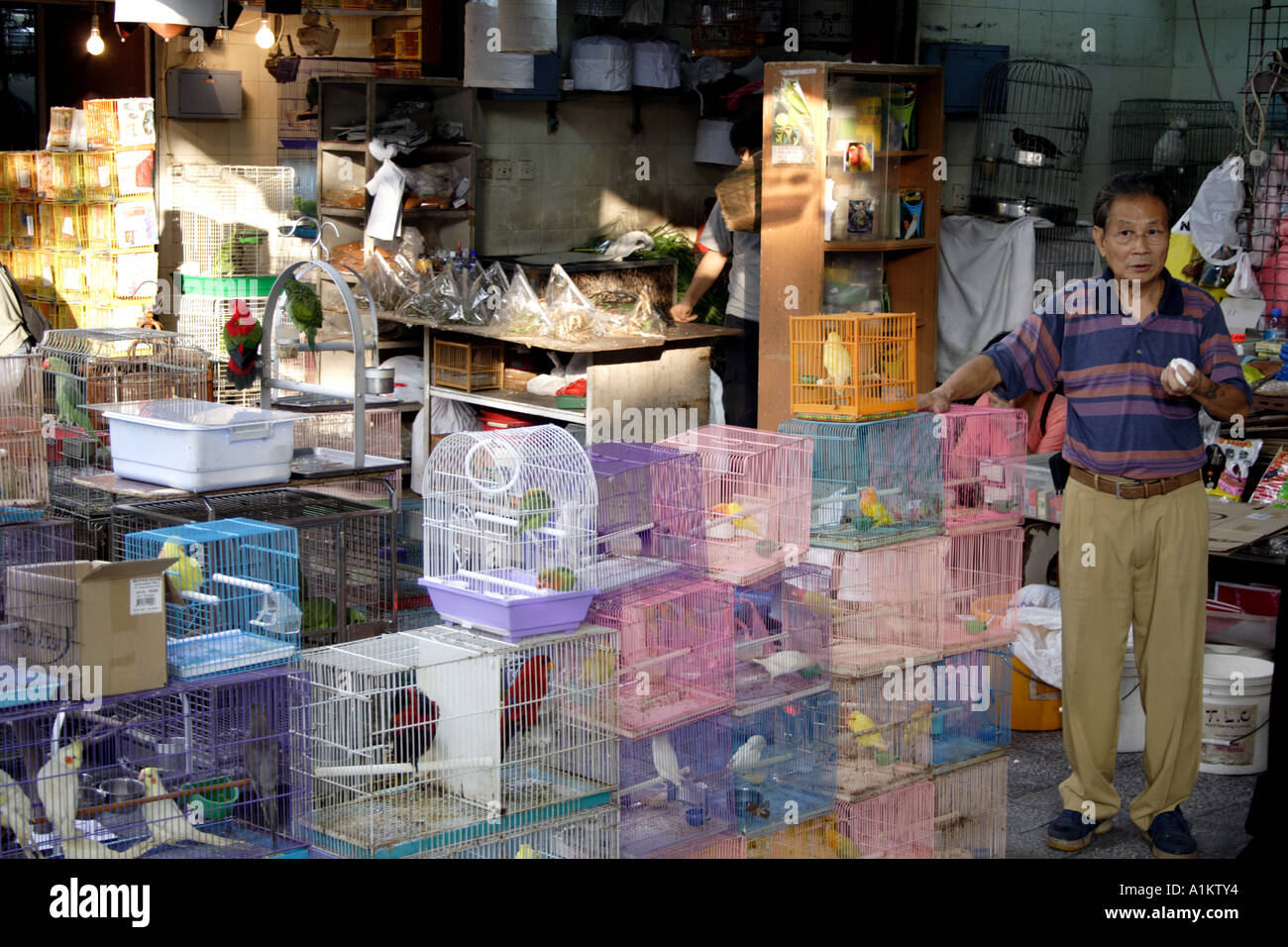 Hong Kong Bird Market (Yuen Po Stock Photo - Alamy