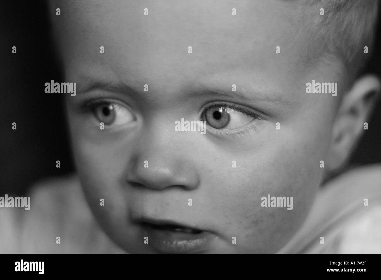 Black and white image of Boys Eyes boy black white fear look looking ...