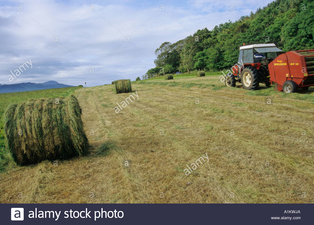 Haymaking Stock Photos & Haymaking Stock Images - Alamy