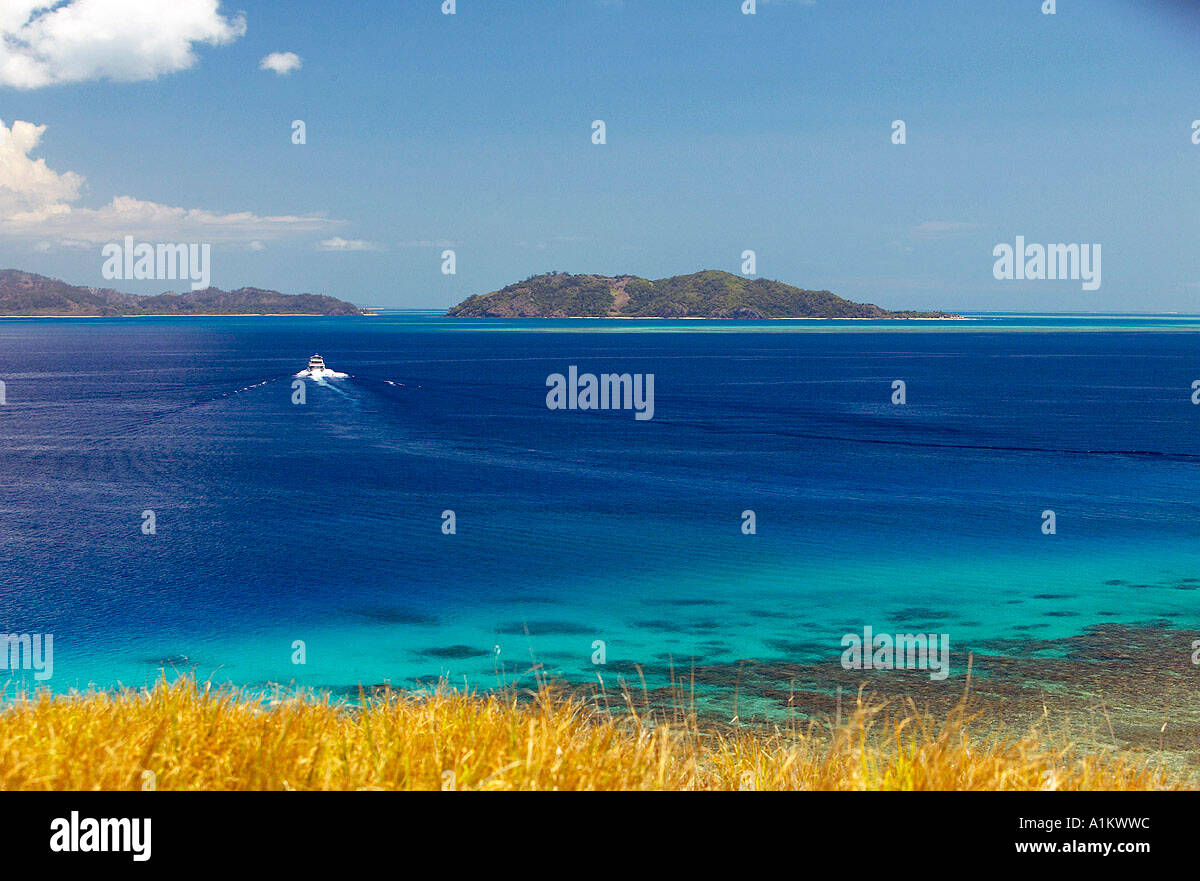 Tiger 4 Mamanucas Fiji Stock Photo - Alamy