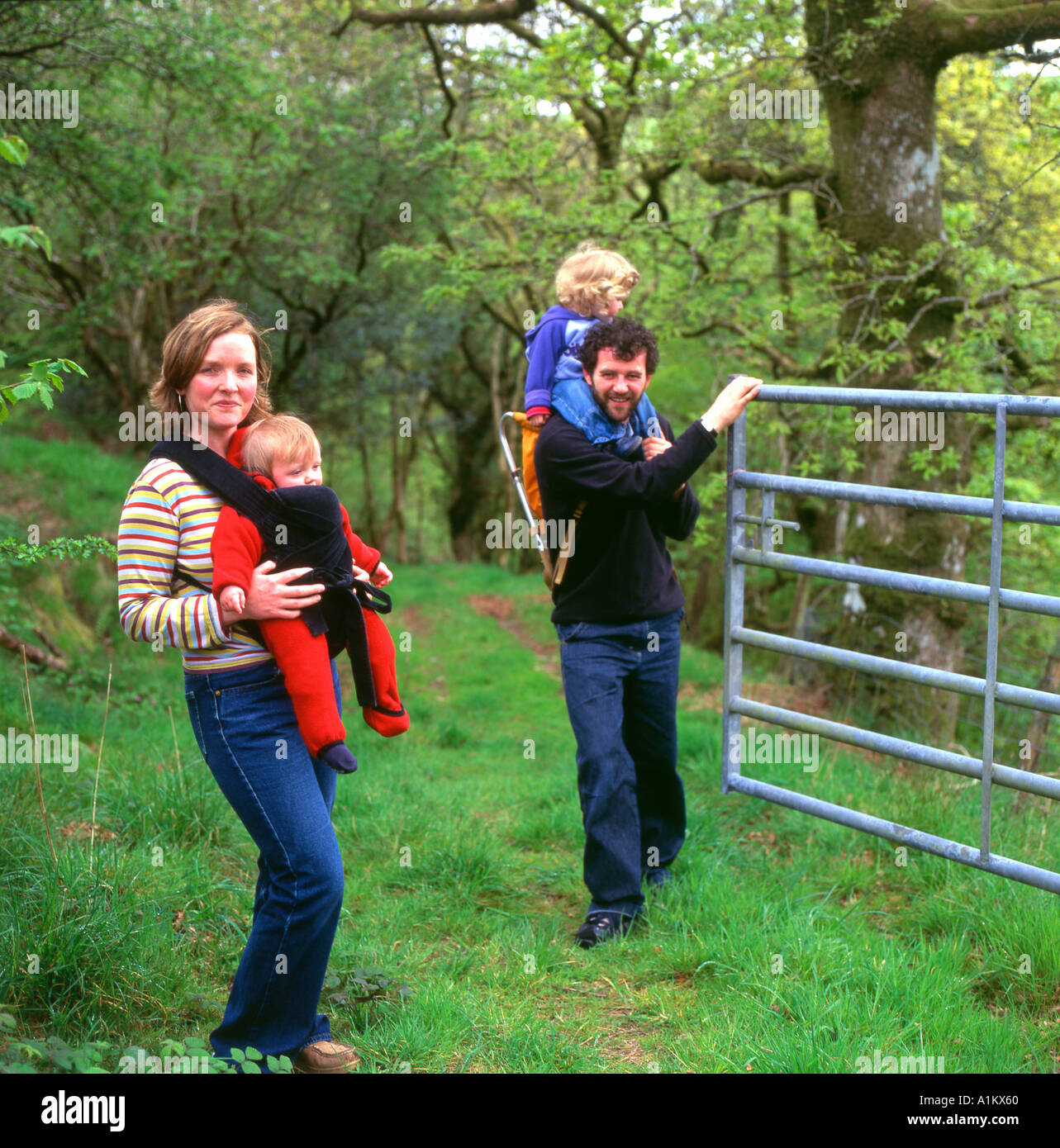 A young Welsh family walking in the countryside in spring ...