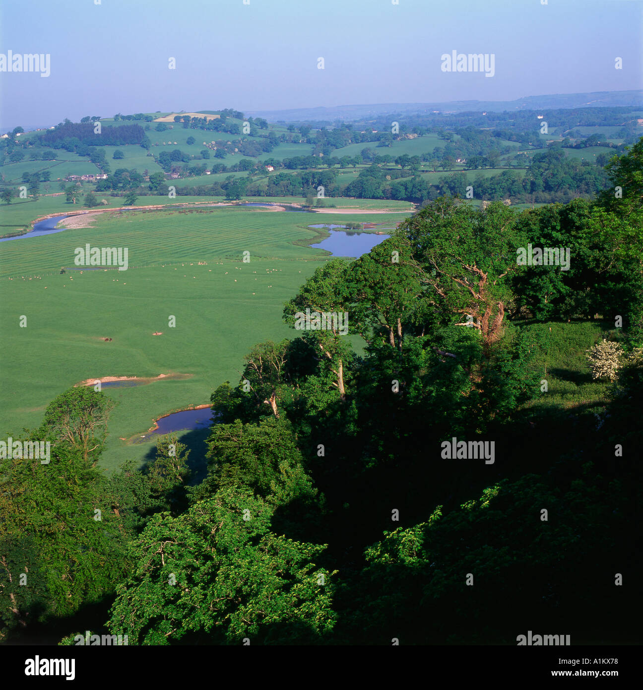Llandeilo flood hi-res stock photography and images - Alamy