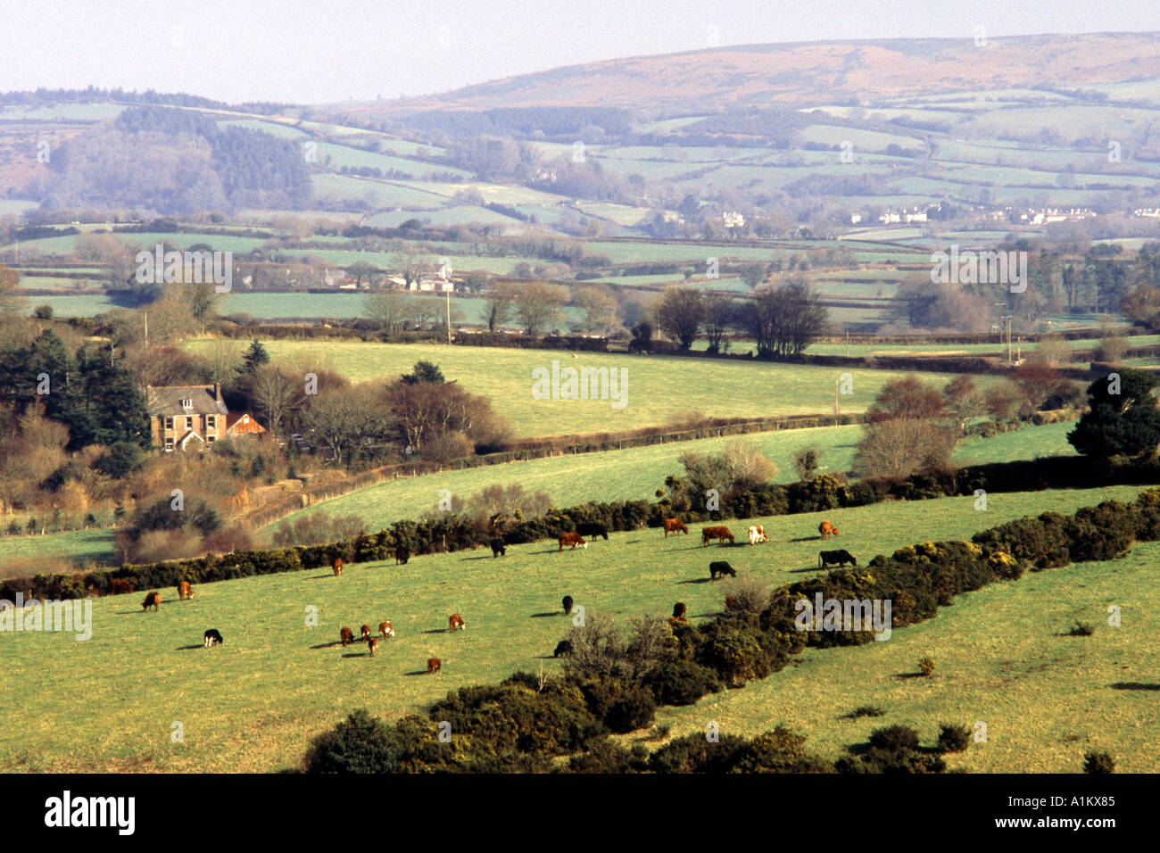 Open grassland with hedges hi-res stock photography and images - Alamy