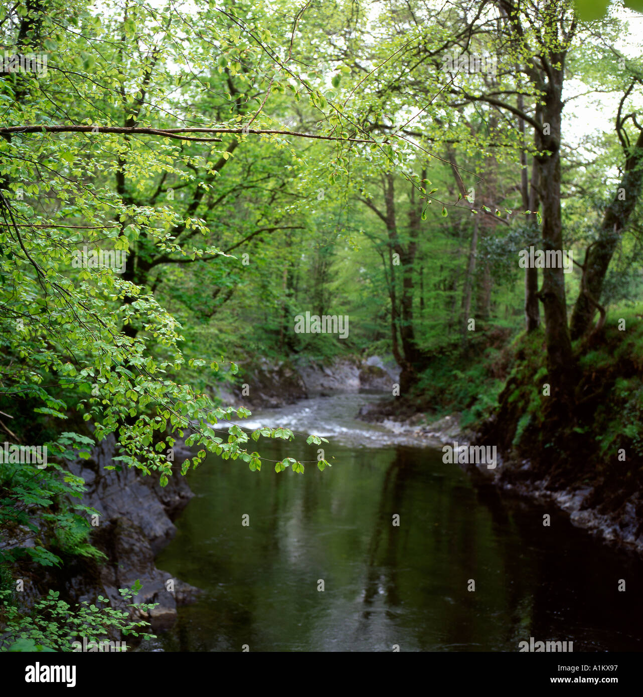Cothi bridge river hi-res stock photography and images - Alamy