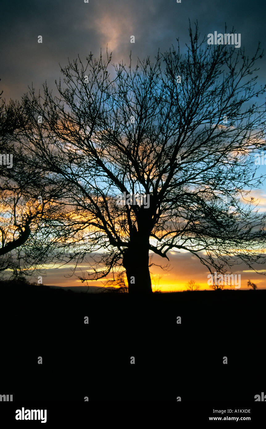 Sunset in Yorkshire England UK Stock Photo - Alamy