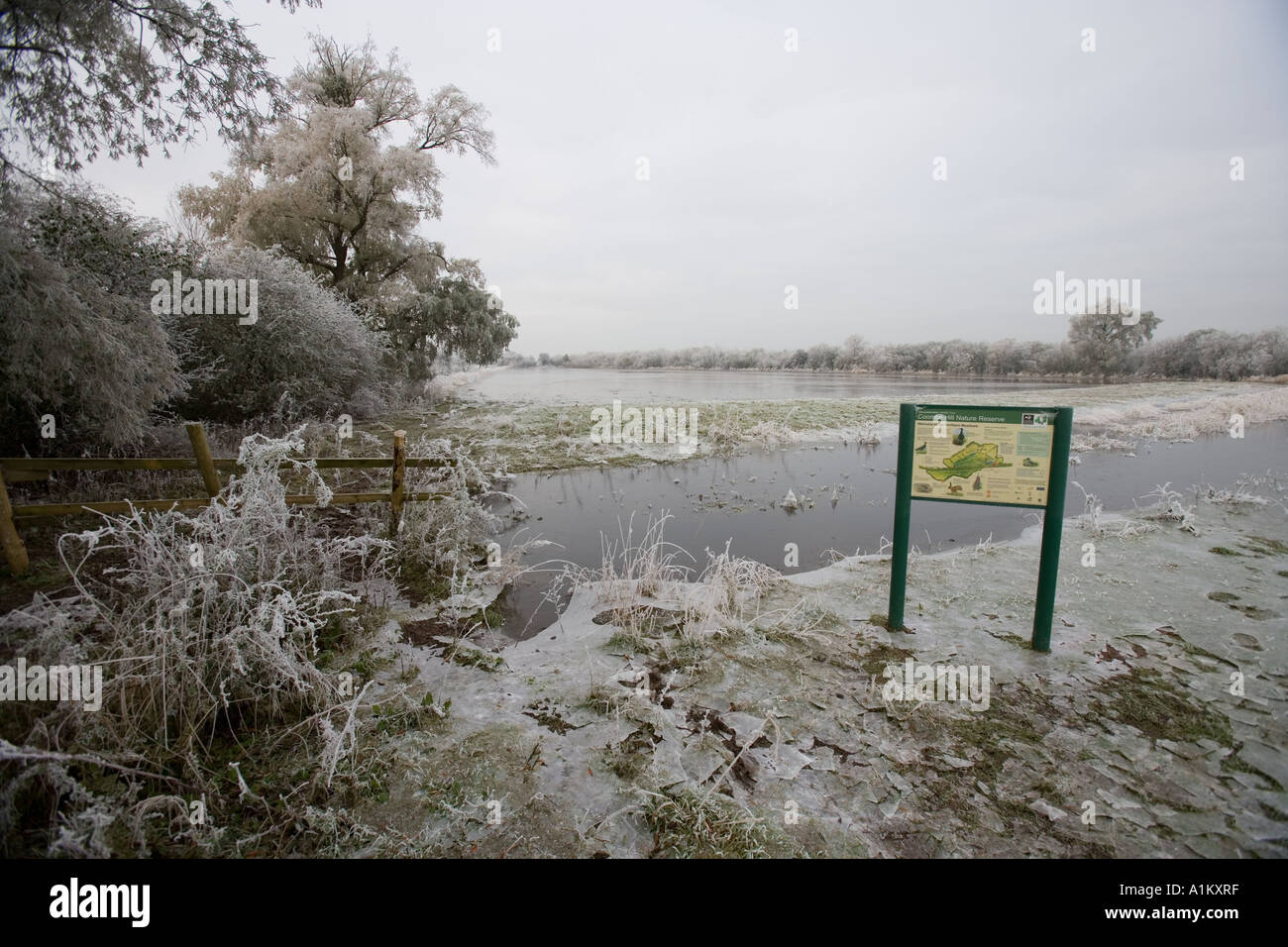 Winter flooding of meadows at the Coombe Hill Nature Reserve ...