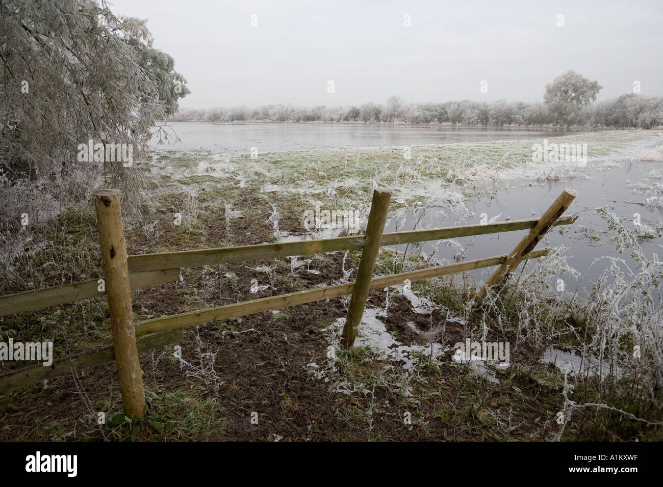 Coombe hill nature reserve hi-res stock photography and images - Alamy