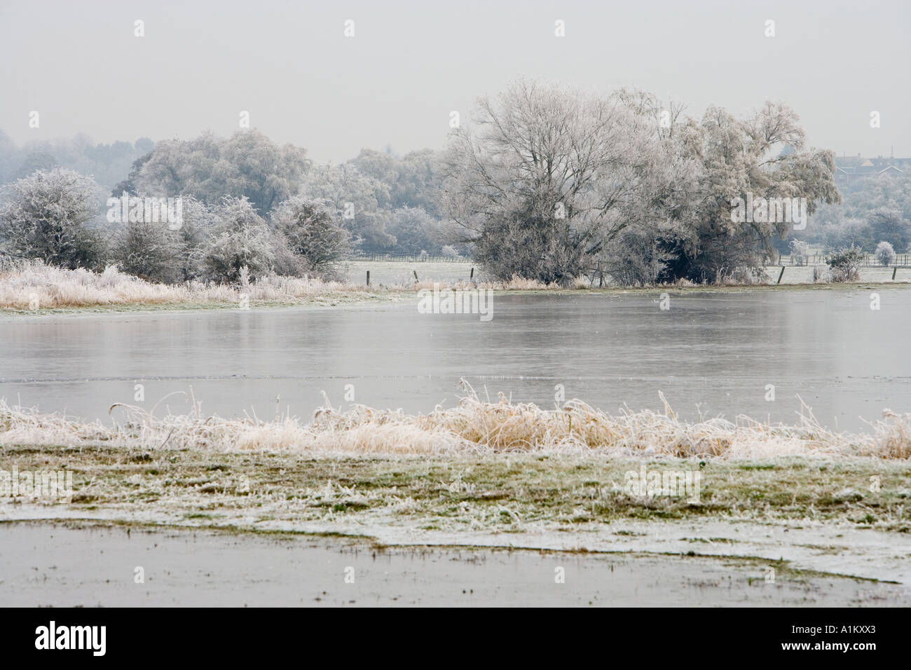 Coombe hill nature reserve hi-res stock photography and images - Alamy