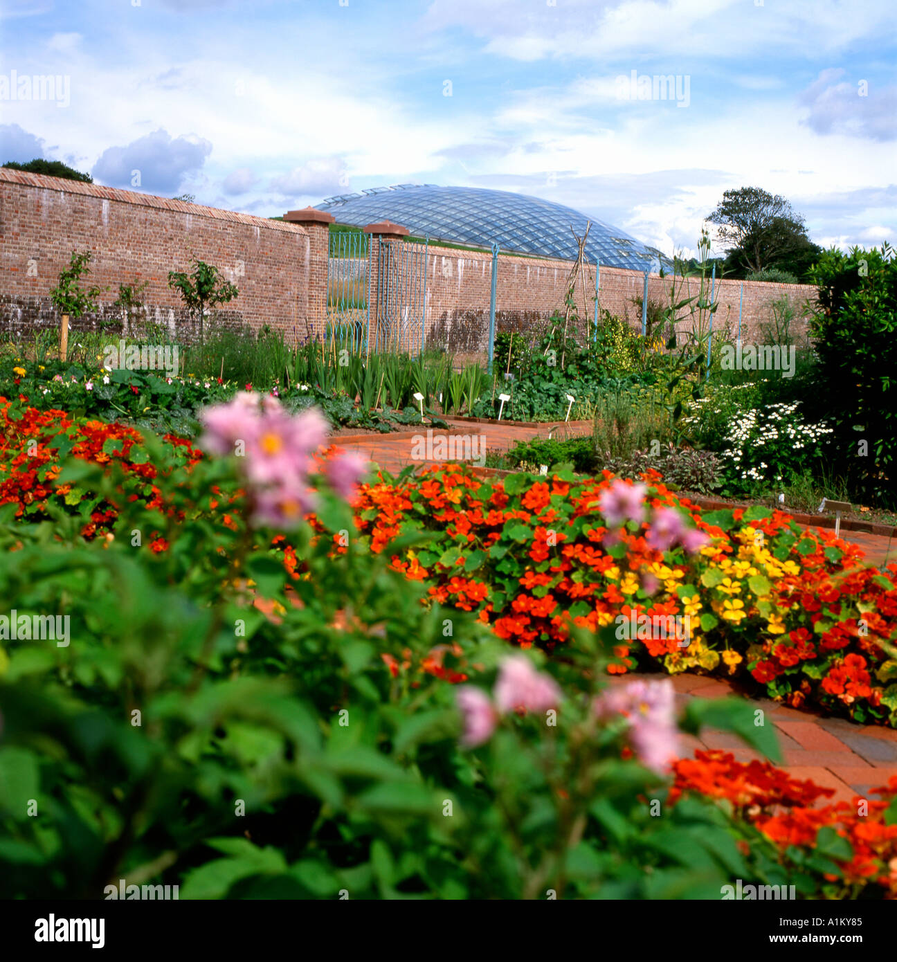 National botanic garden of wales wall hi-res stock photography and ...