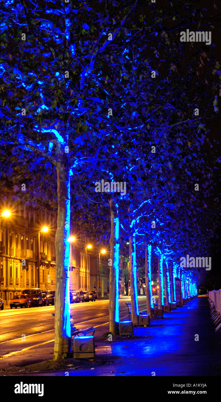 Receding line of trees hi-res stock photography and images - Alamy