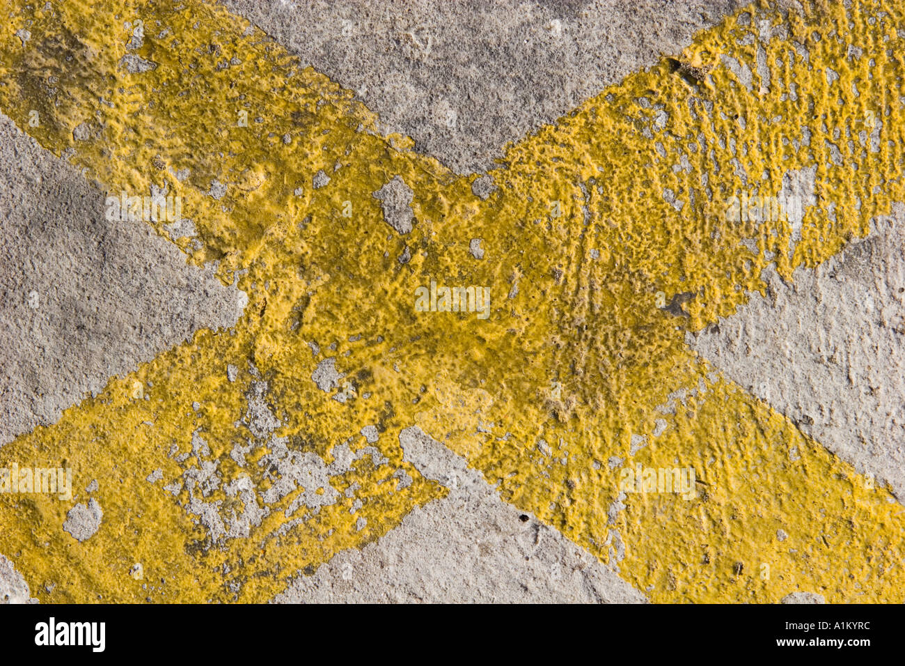 Section of yellow No Entry If No Clear Exit grid on road Stock Photo ...