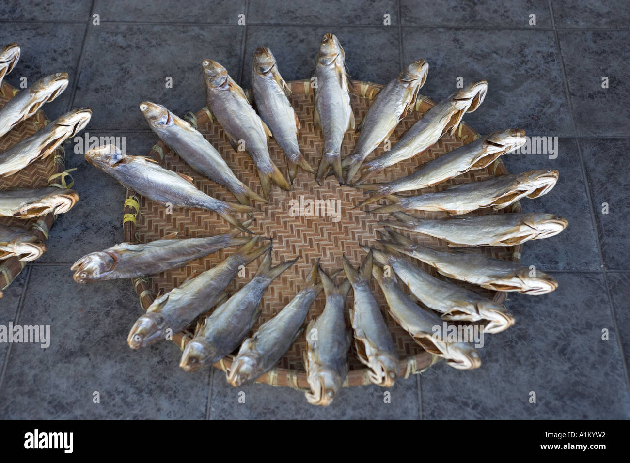 Macau Dried Fish Display Stock Photo - Alamy