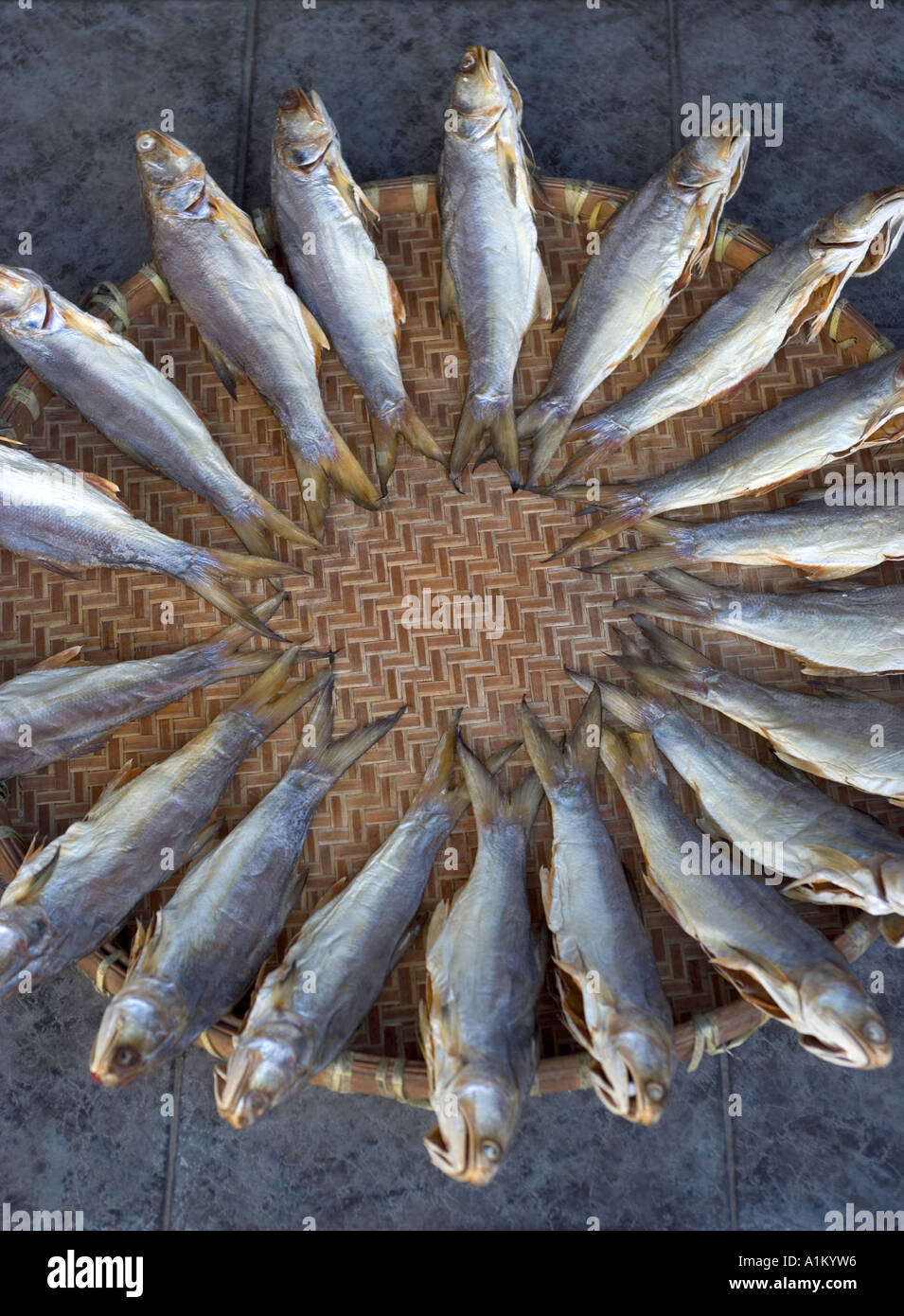Dried Fish Display Macau Stock Photo - Alamy